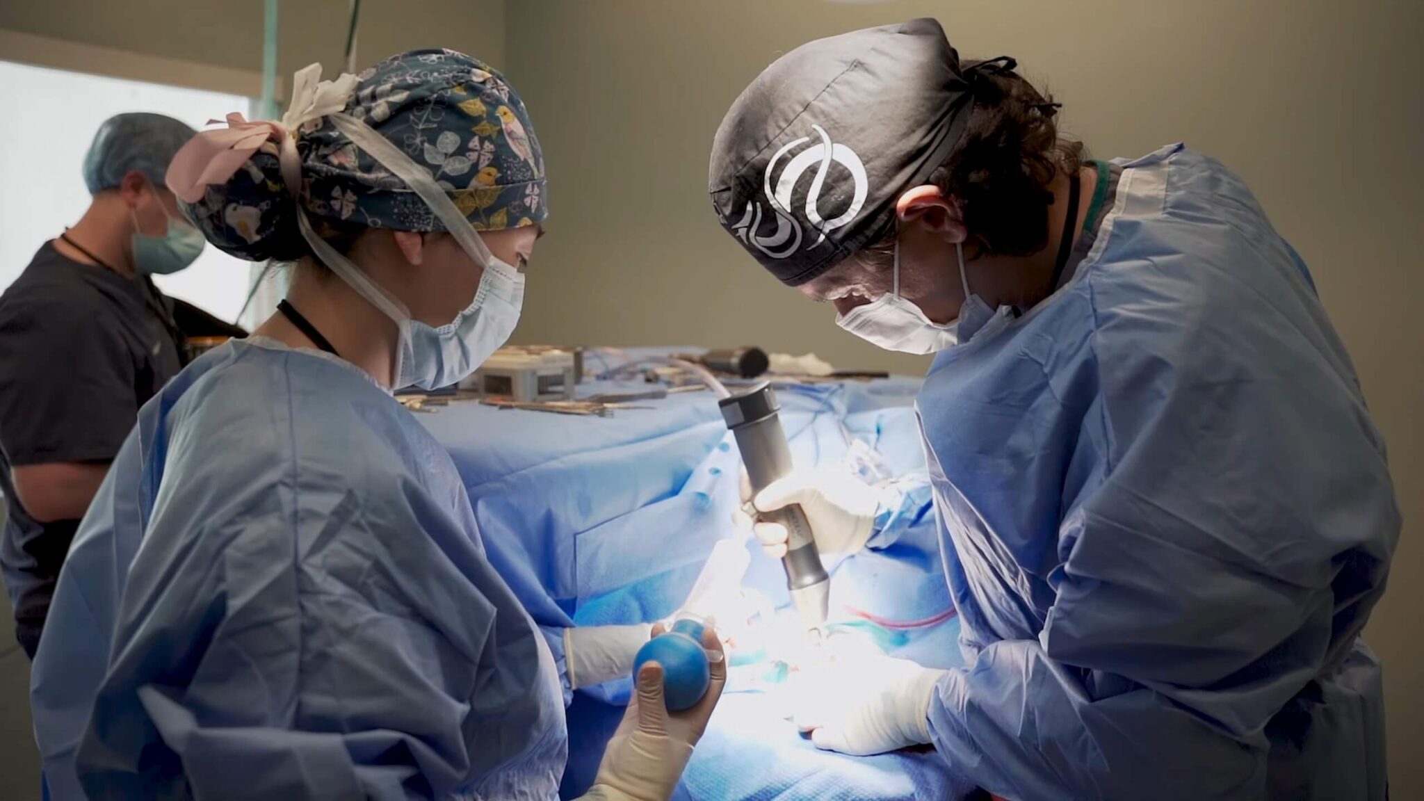 Mast Cell Tumor Dog Life Expectancy - How to Prolong It